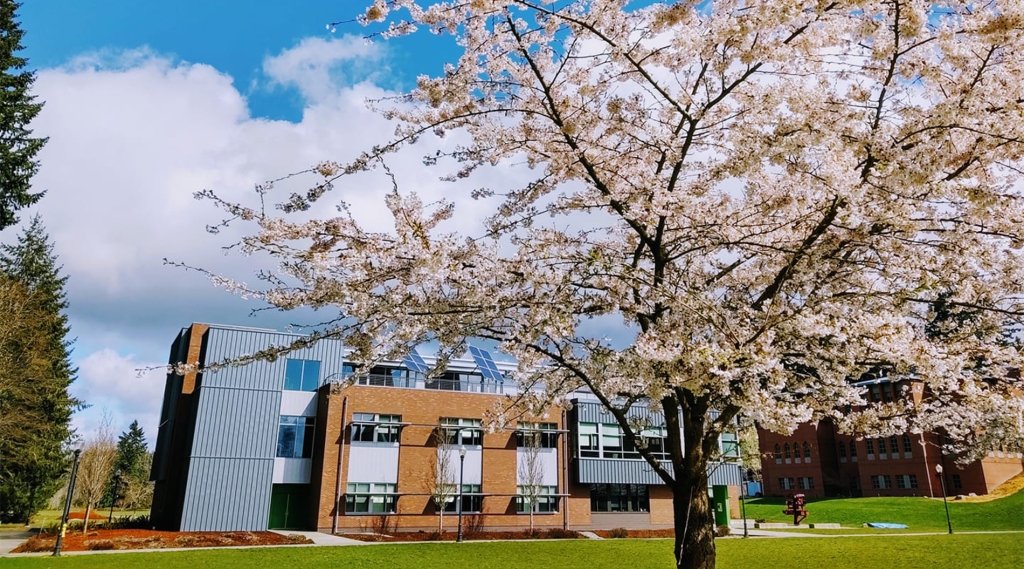 Financial aid | Saint Martin's University