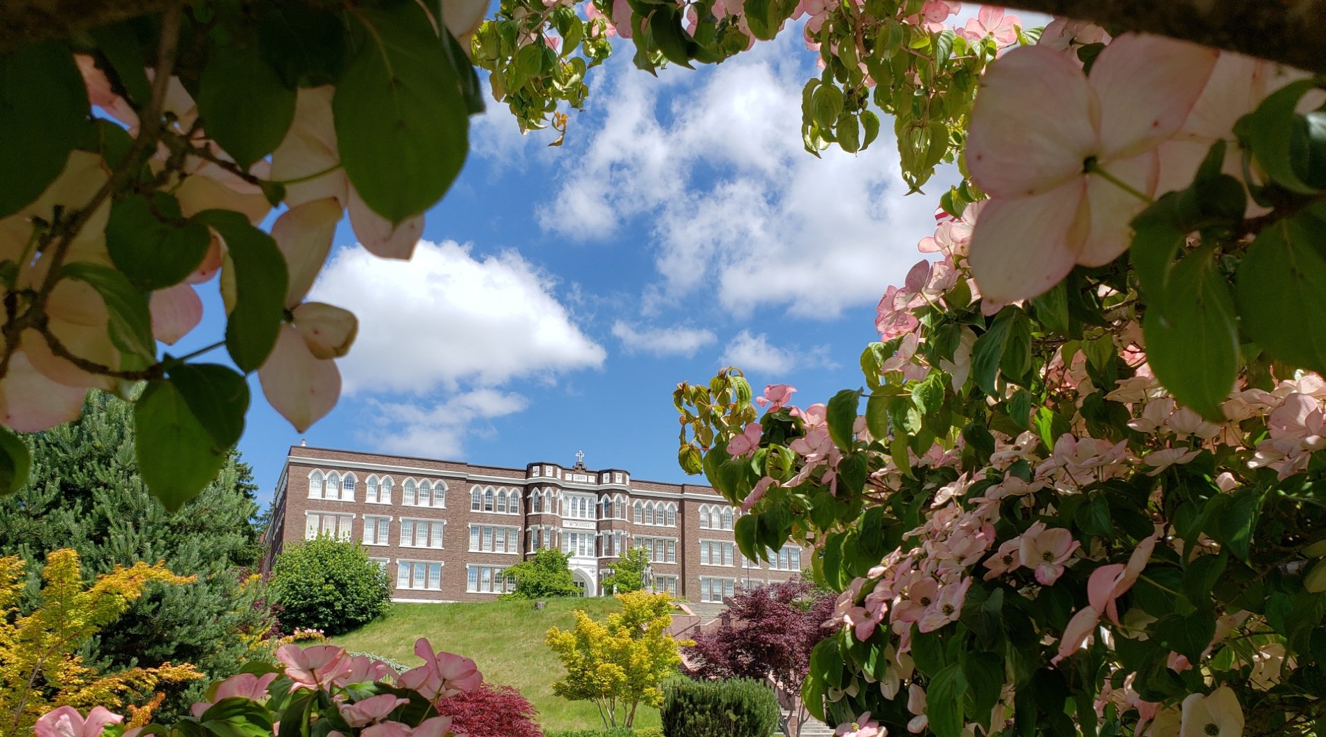 Transferring credits | Saint Martin's University