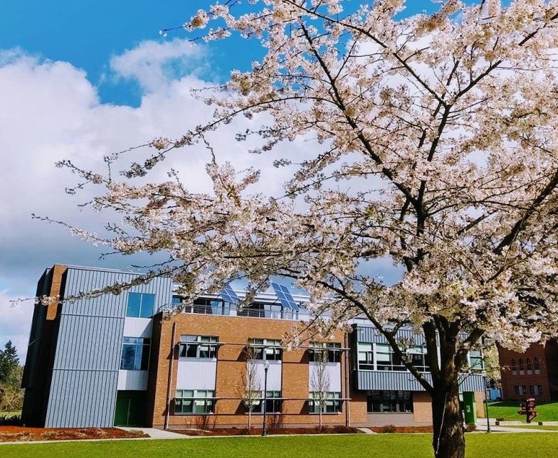 Saint Martin's University | Lacey, Washington